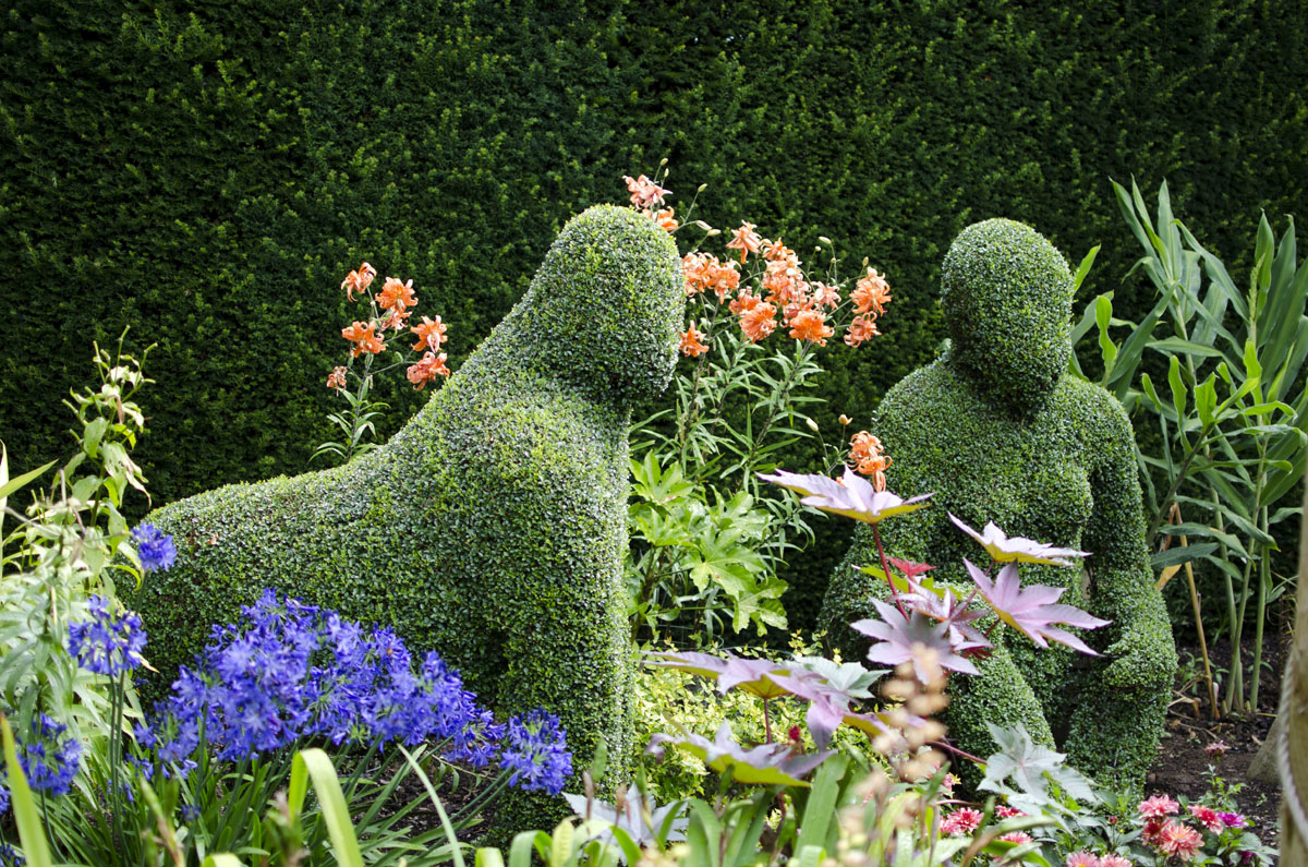 Topiary animals - Bespoke topiary plant sculptures